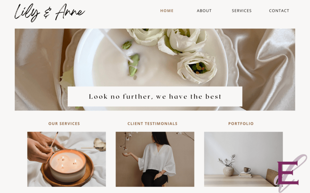 Our portfolio | this shows some of our designed websites and branding